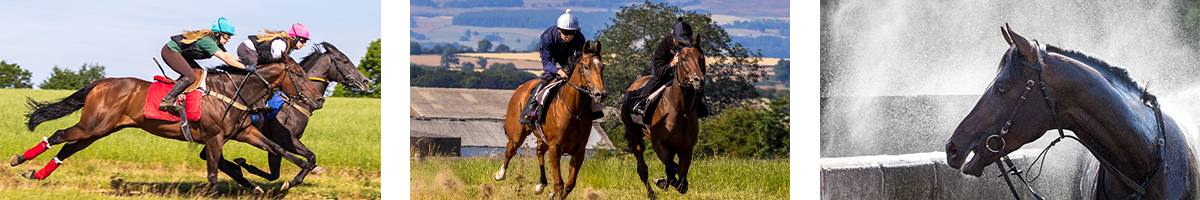 Contact Michael Dods Racing