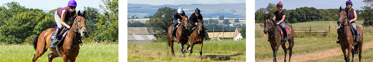 Denton Hall Facilities
