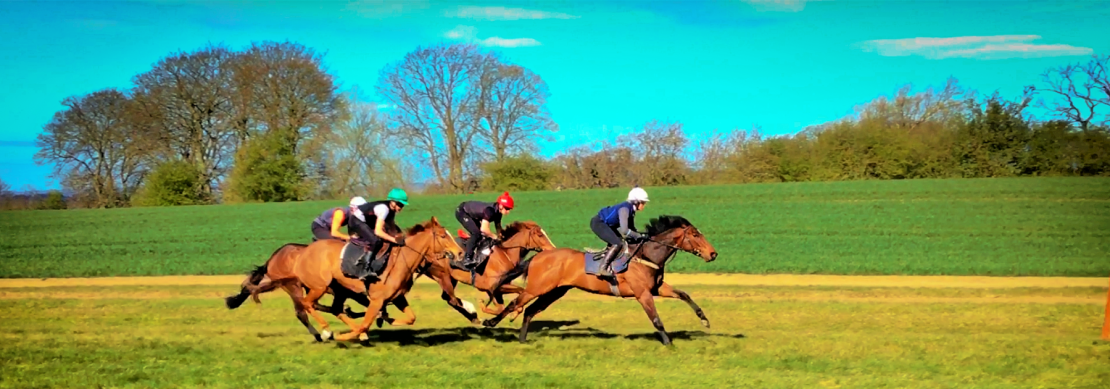 Welcome to Michael Dods Racing